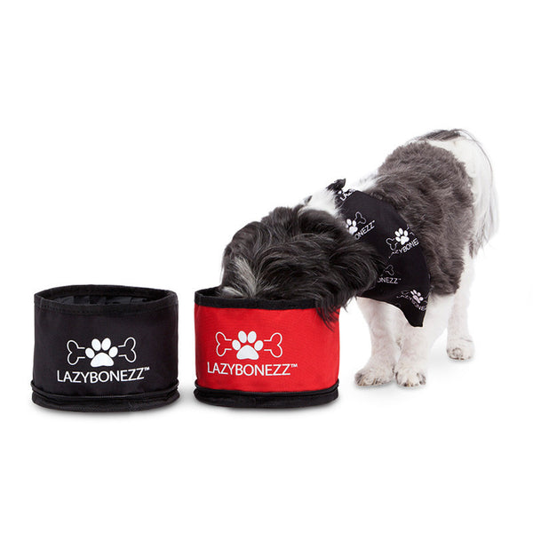 Portable Feeder – LazyBonezz