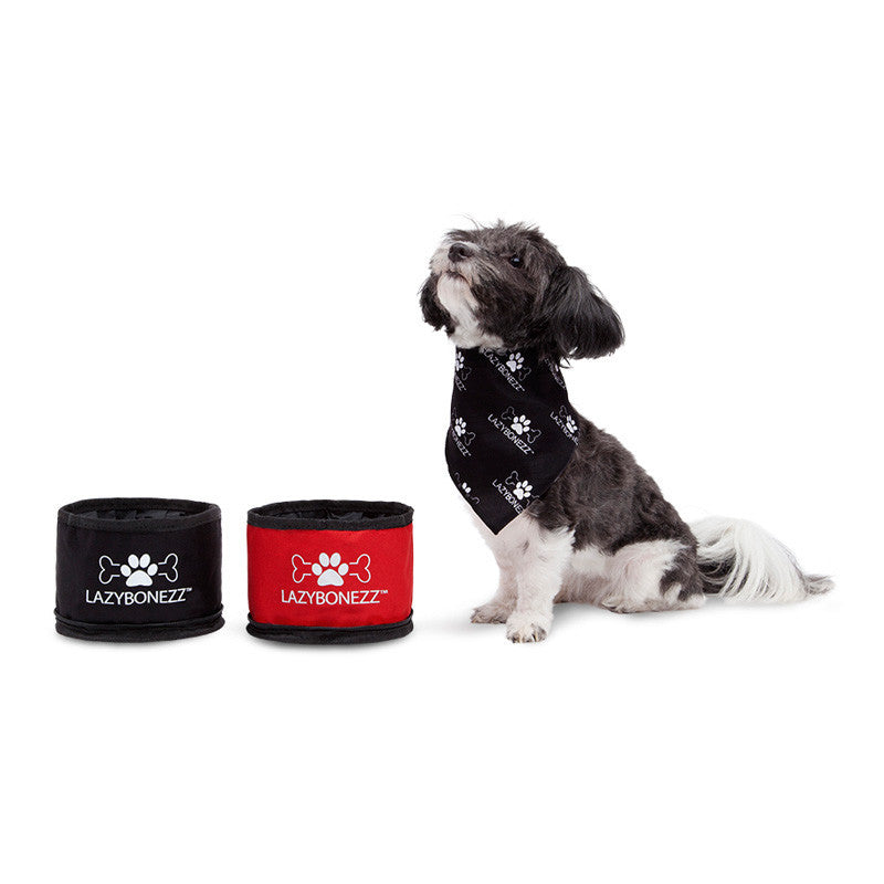 Portable Feeder – LazyBonezz